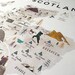 Walk Scotland - A3 Illustrated Map Checklist. 30 Mountain Walks of ...