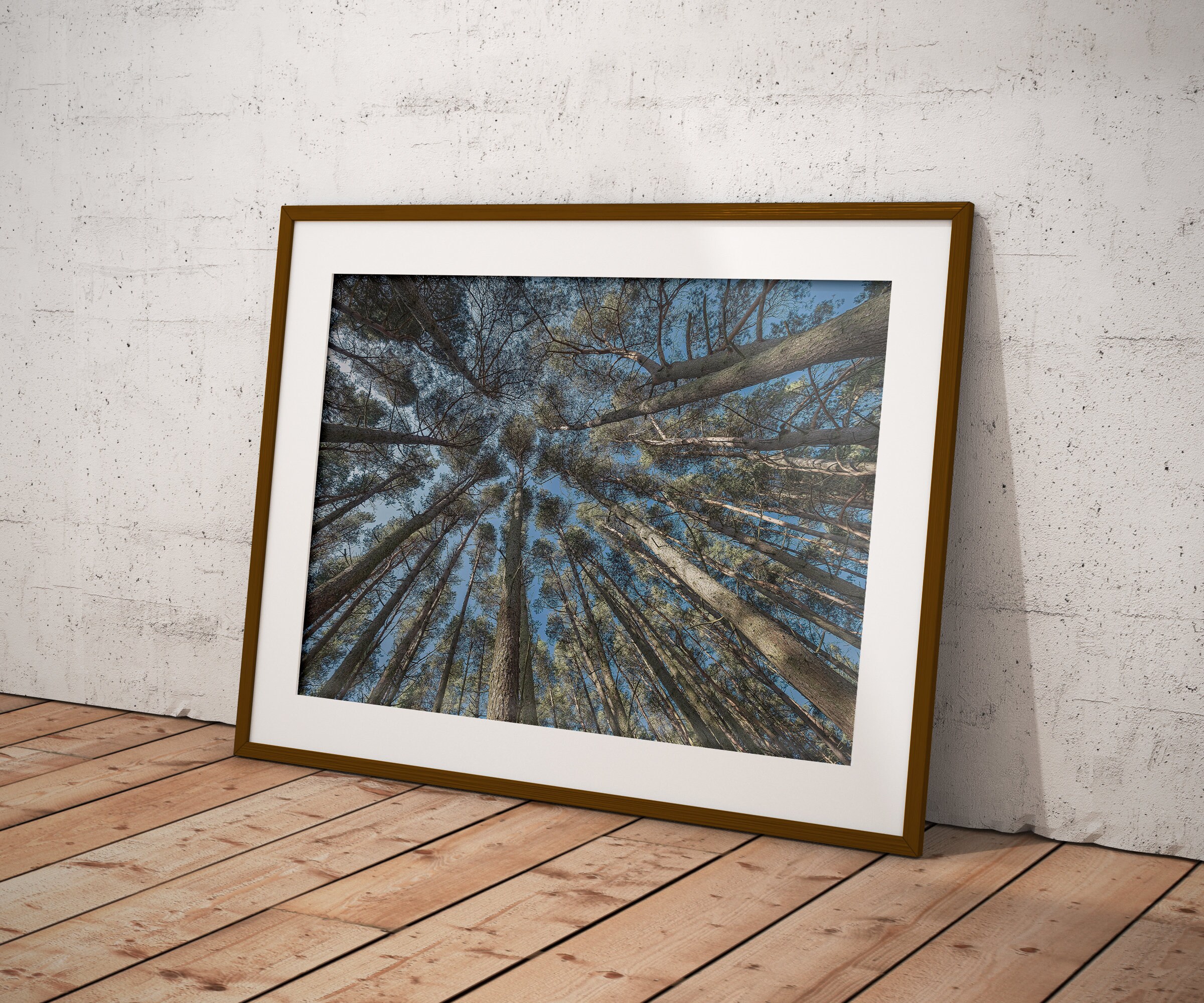 Kielder Forest Sculpture Print Kielder Forest Sculpture - Etsy France