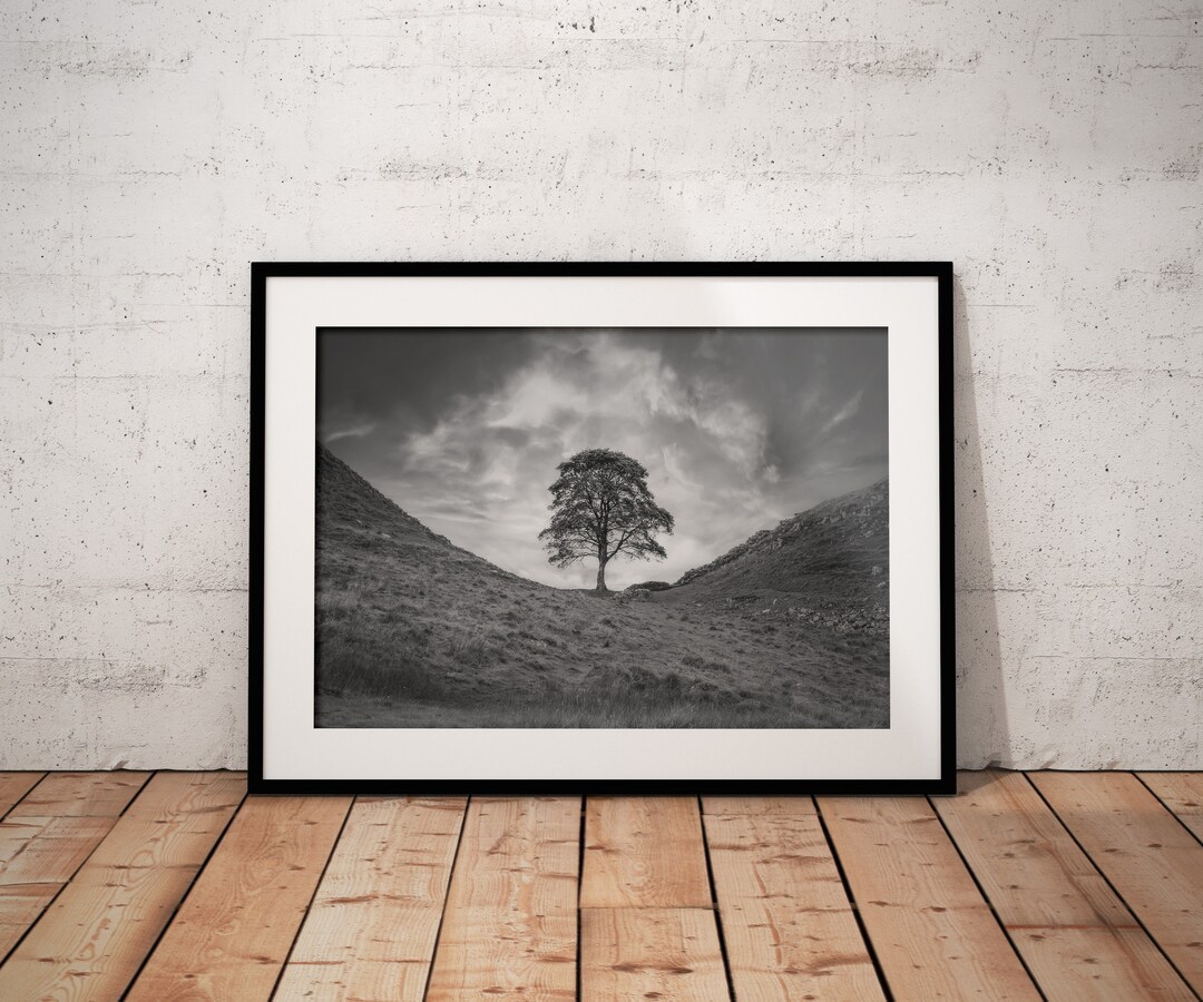 Hadrian's Wall Landscape Photograph of Sycamore Gap Landscape Print ...