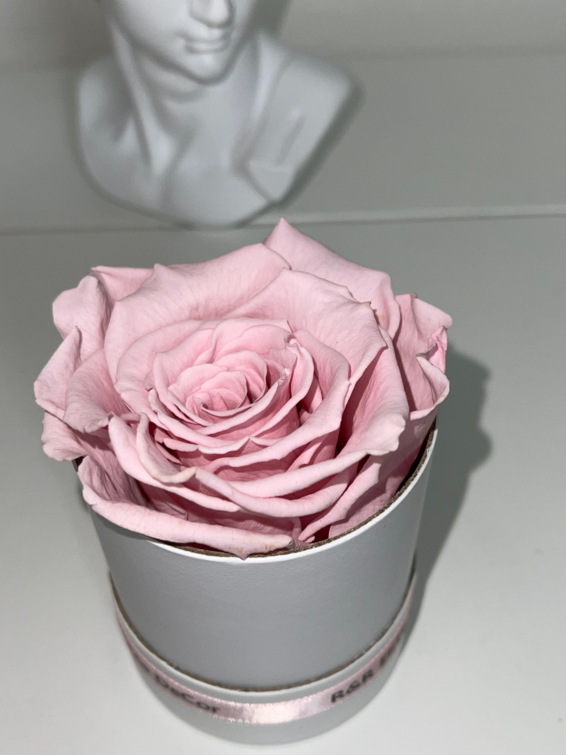 Year long roses / Preserved Real Roses/ birthday gifts/ | Etsy