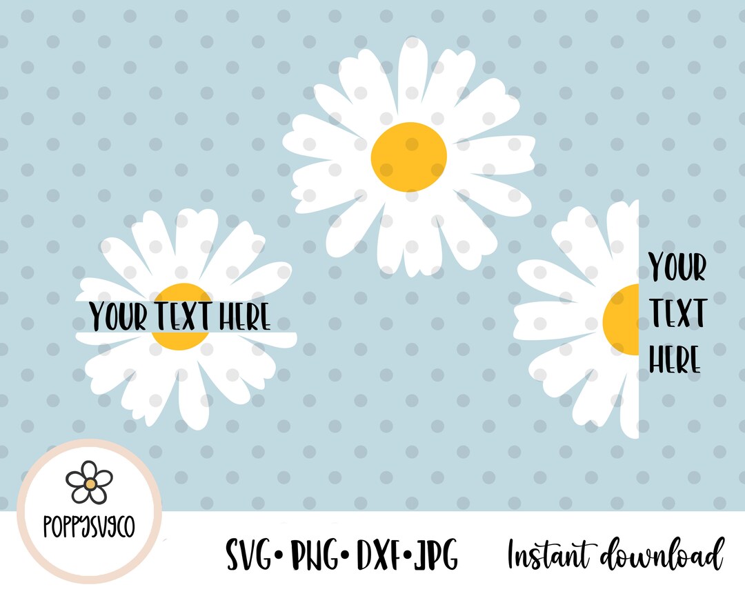 Daisy SVG, Daisy Split Svg, Flower Svg, Groovy Flower, Half Daisy Svg ...