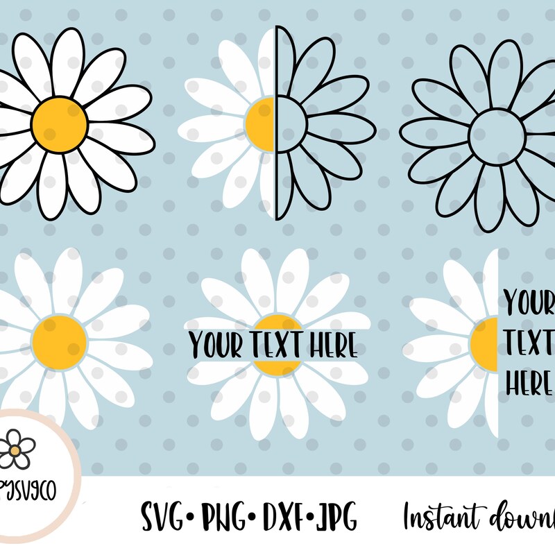 Daisy Svg - Etsy
