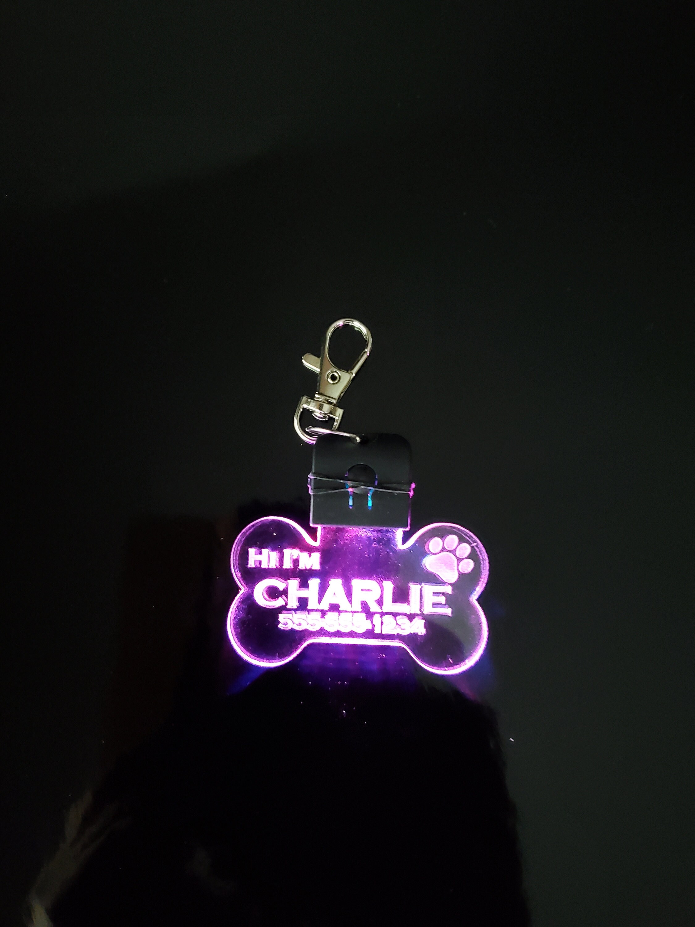 Personalized Acrylic LED Dog Tag - Etsy