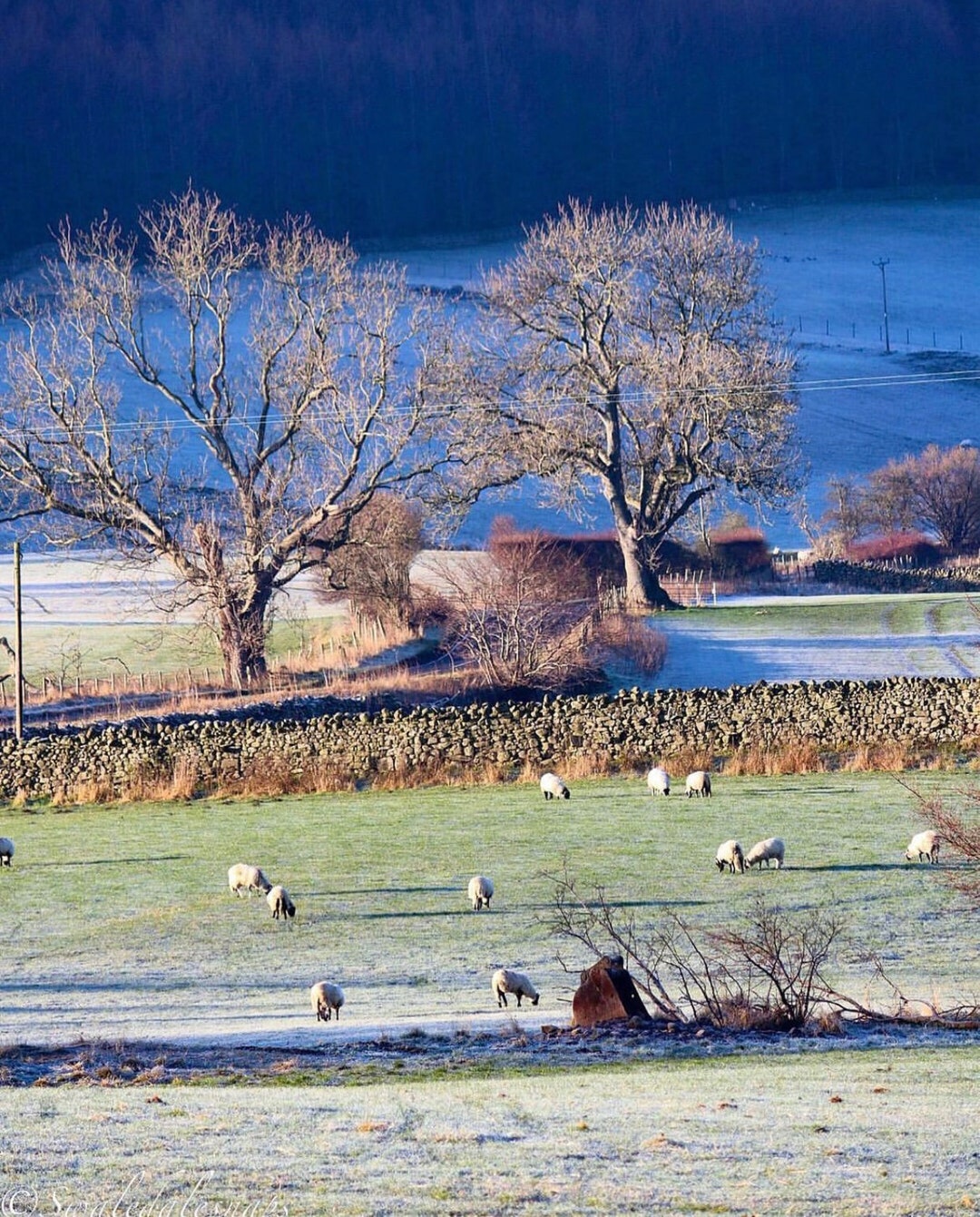 A Yorkshire Christmas Scene - Etsy