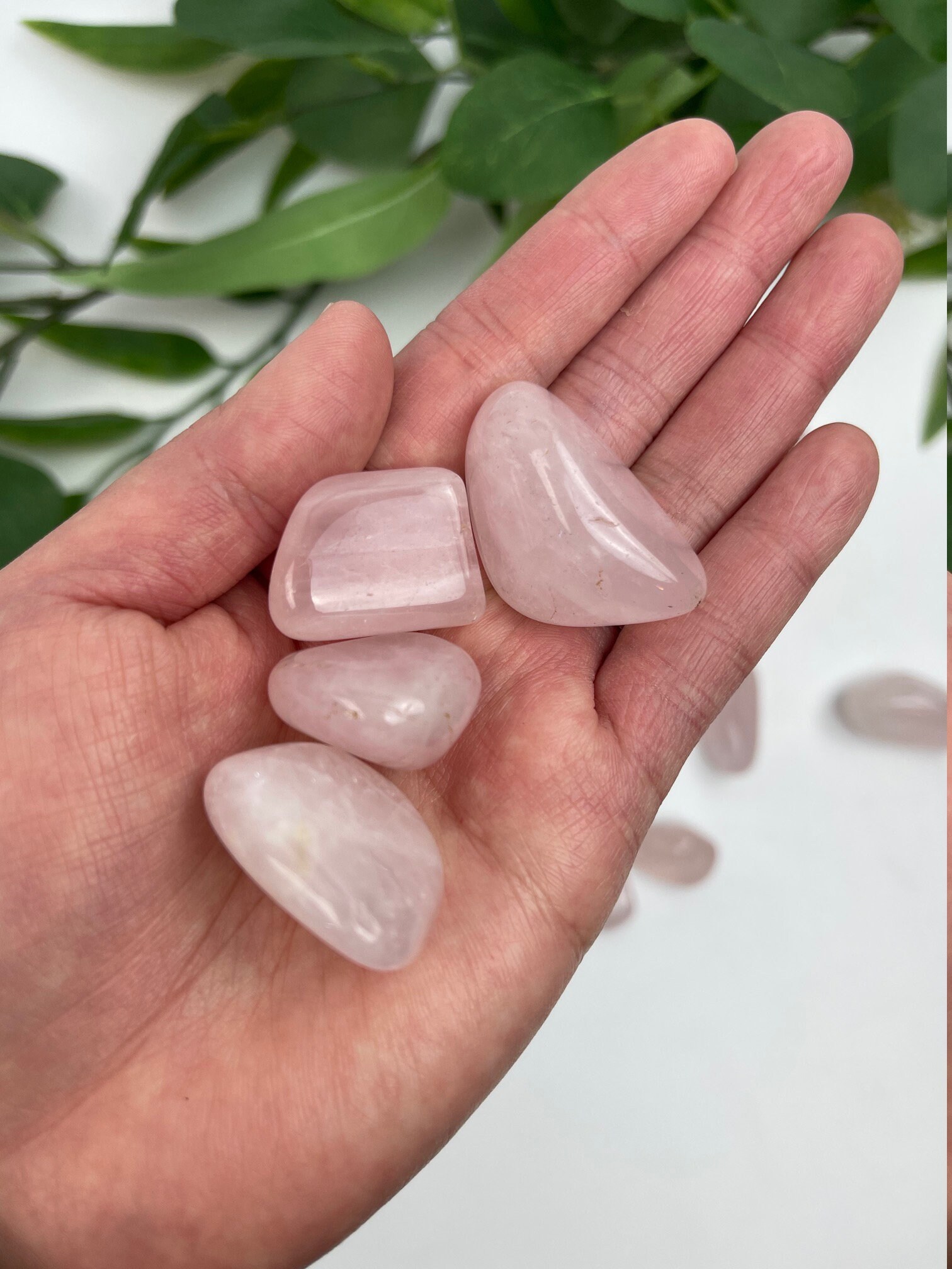 Rose Quartz Tumble Stone Polished Love Healing Crystal w/ | Etsy