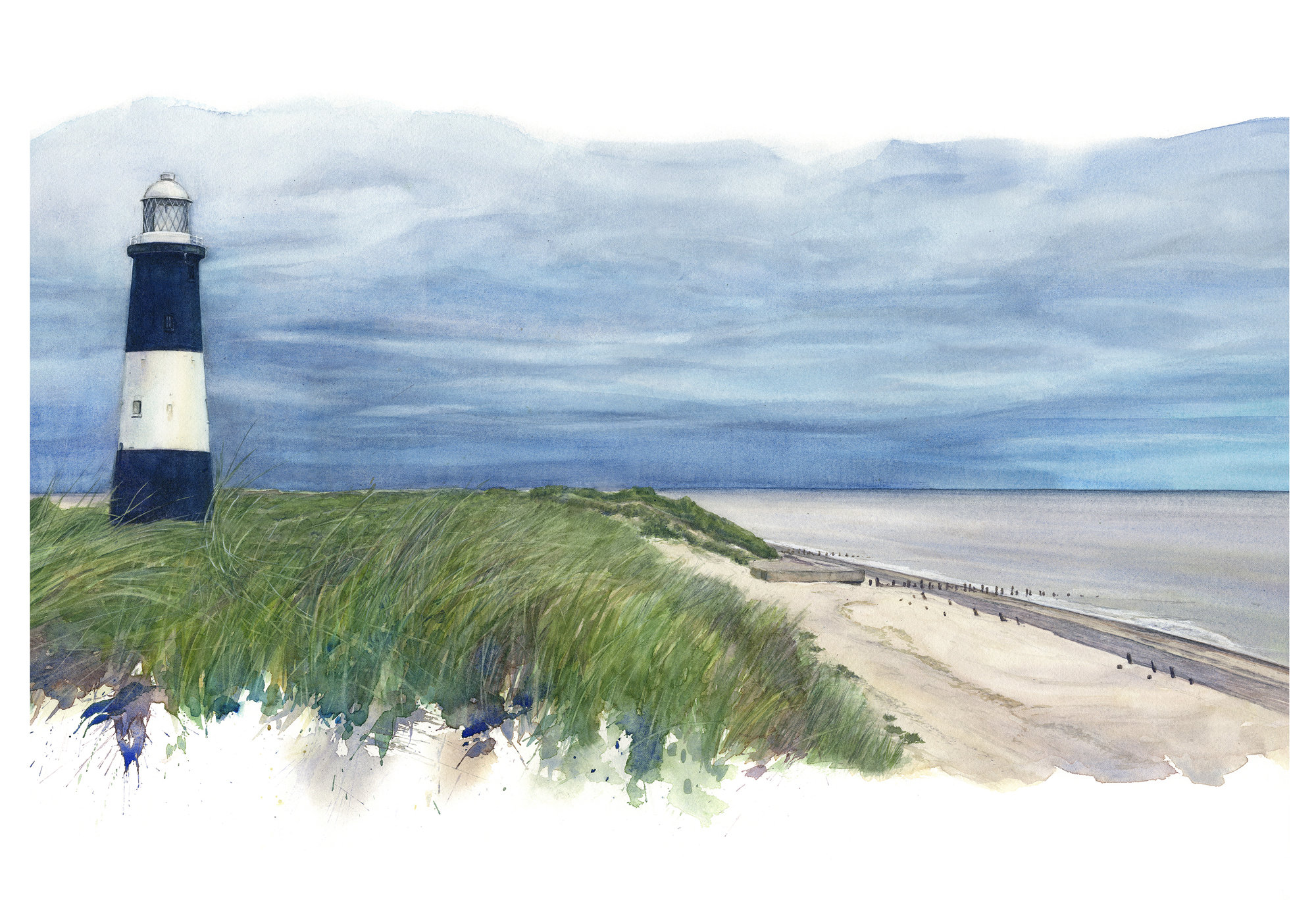 Marram Grass Sea, Spurn Point, a Signed, Fine Art, Mounted Print of an ...