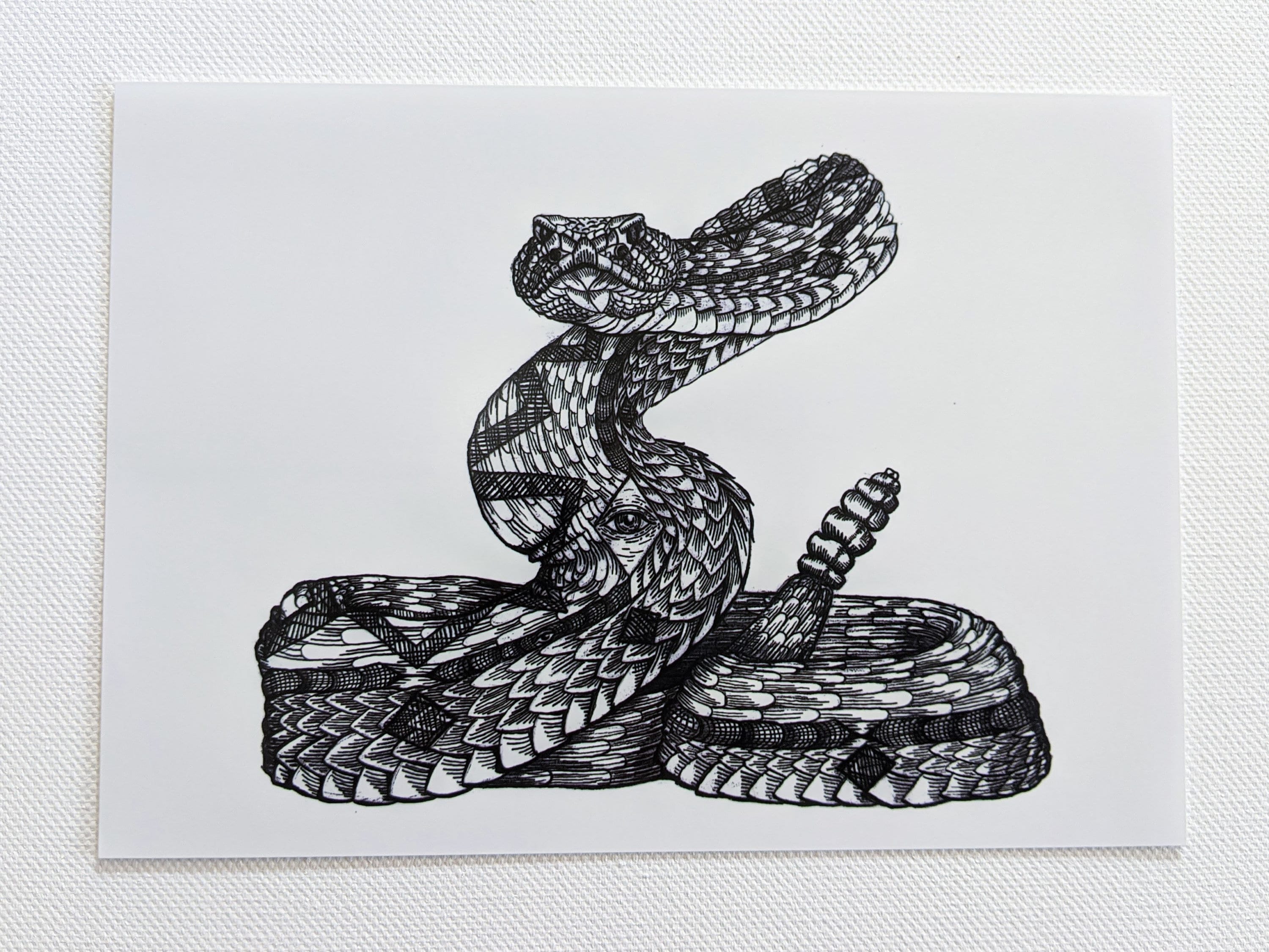 Reproduction of "diamond Snake" Graphite Drawing - Etsy