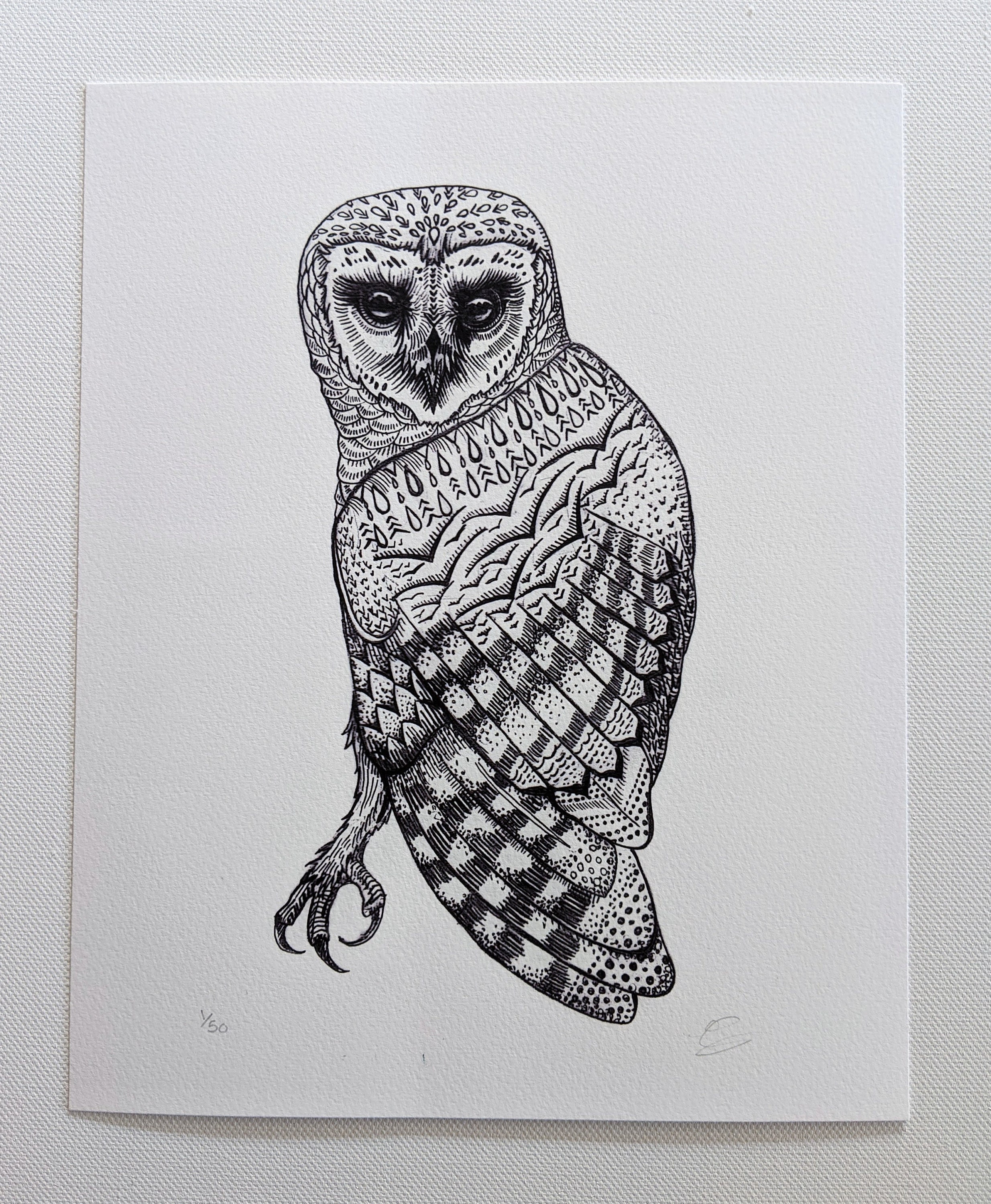 Masked Owl Graphite Drawing Original an Reproduction Prints - Etsy