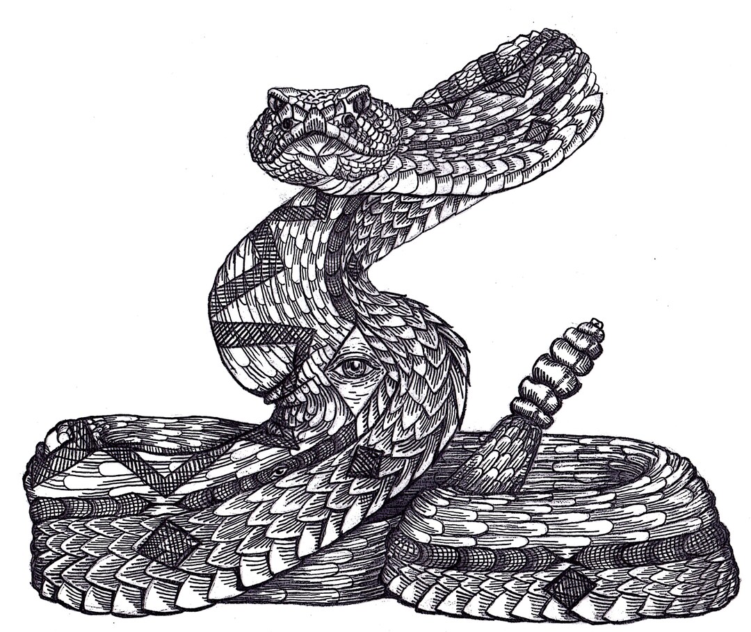 Reproduction of "diamond Snake" Graphite Drawing - Etsy