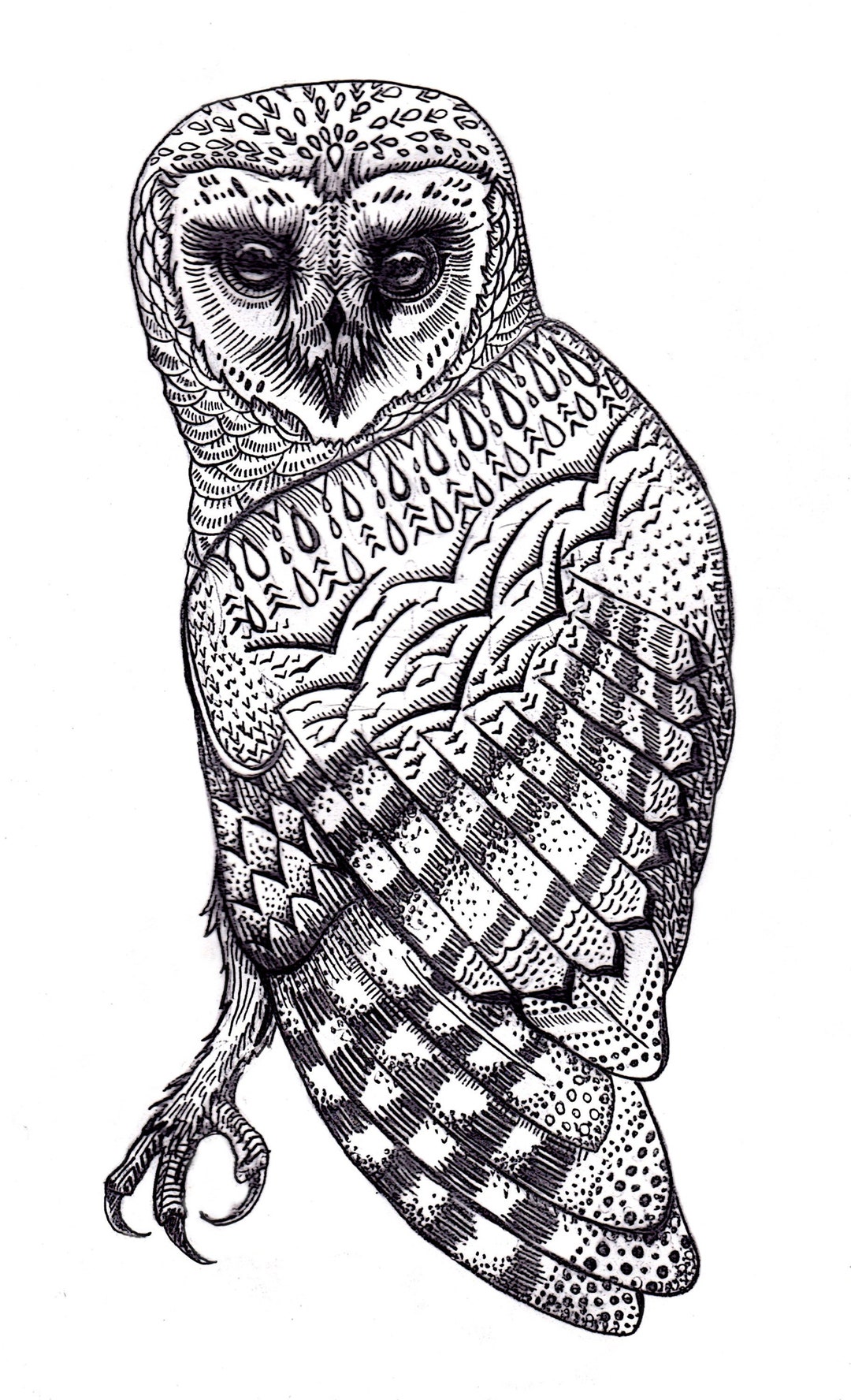 Masked Owl Graphite Drawing Original an Reproduction Prints - Etsy