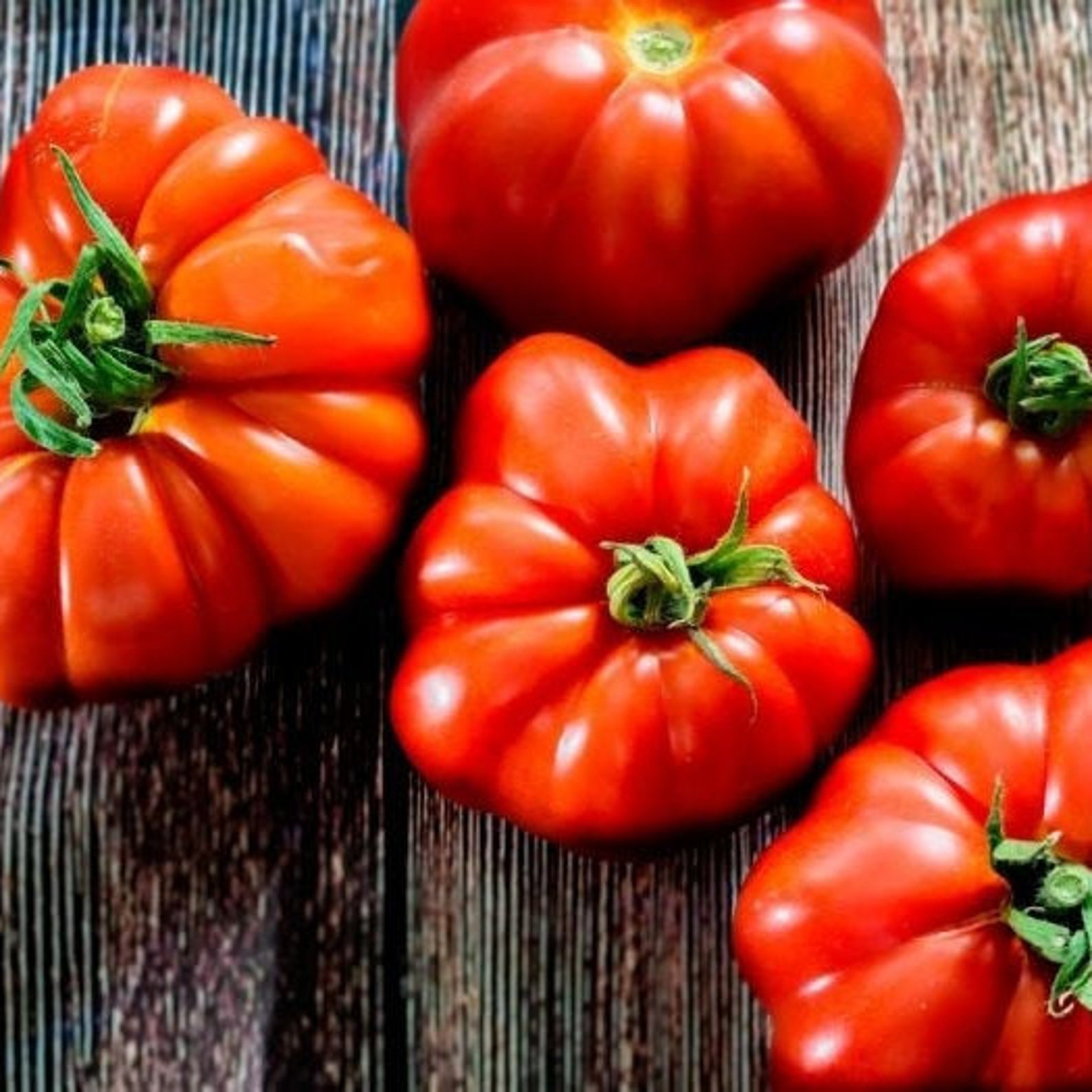 Organic French "marmande" Tomato Seeds | Heirloom Tomato , Open ...