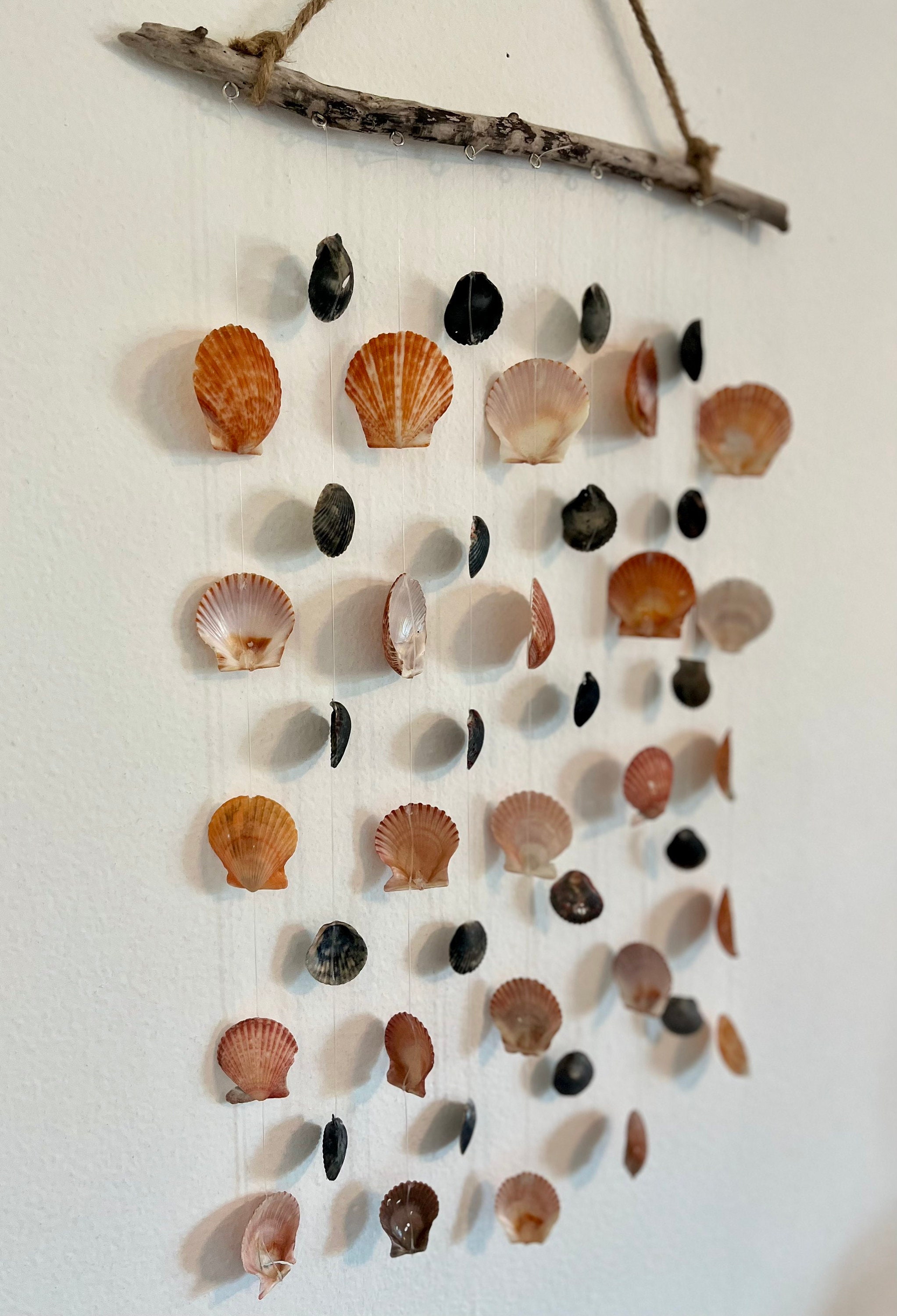 Florida Scallop Shell Wall Hanging - Etsy
