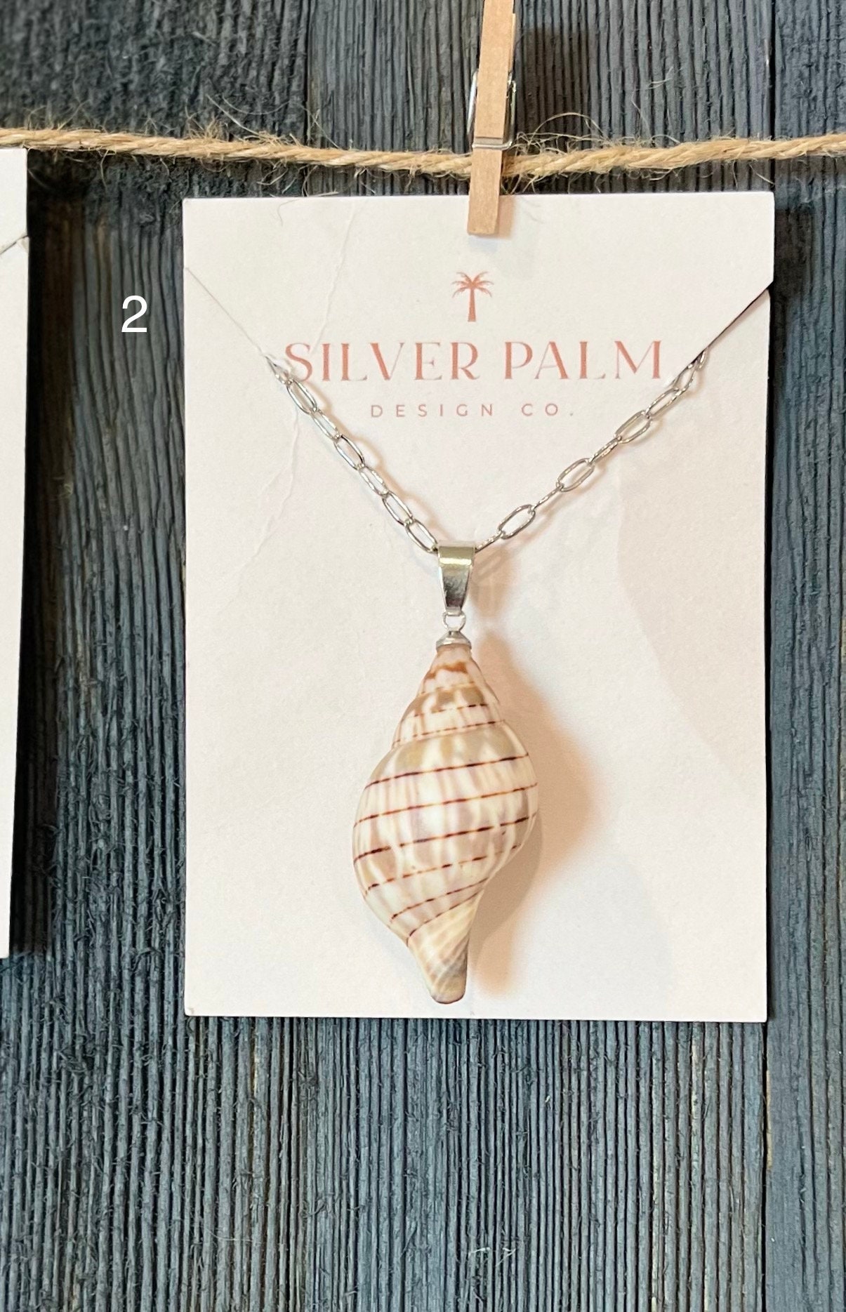 Florida Banded Tulip Shell Pendant (silver) - Etsy Canada