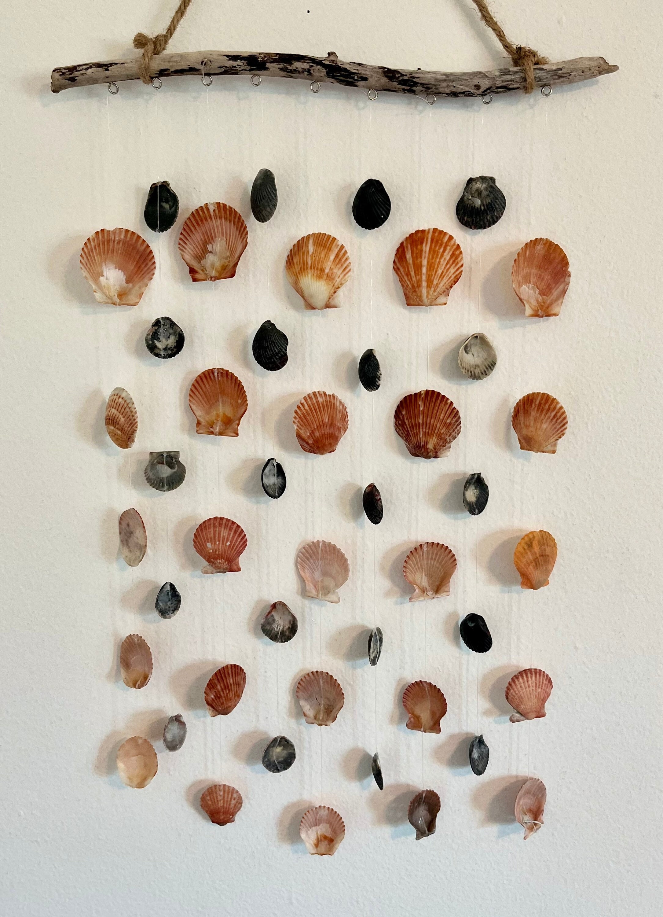 Florida Scallop Shell Wall Hanging - Etsy
