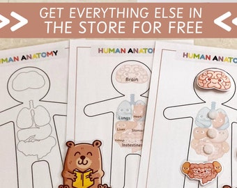 Human Anatomy Binder - Etsy