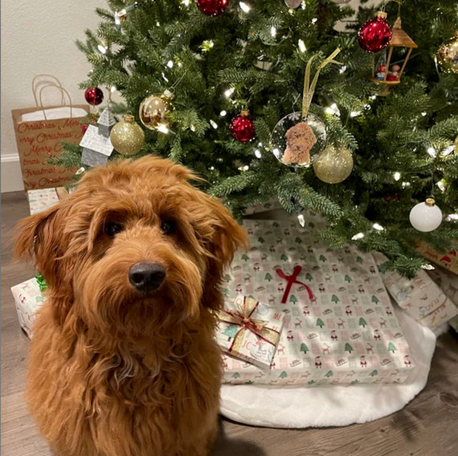 Personalized Glass Goldendoodle Ornament Golden Doodle - Etsy