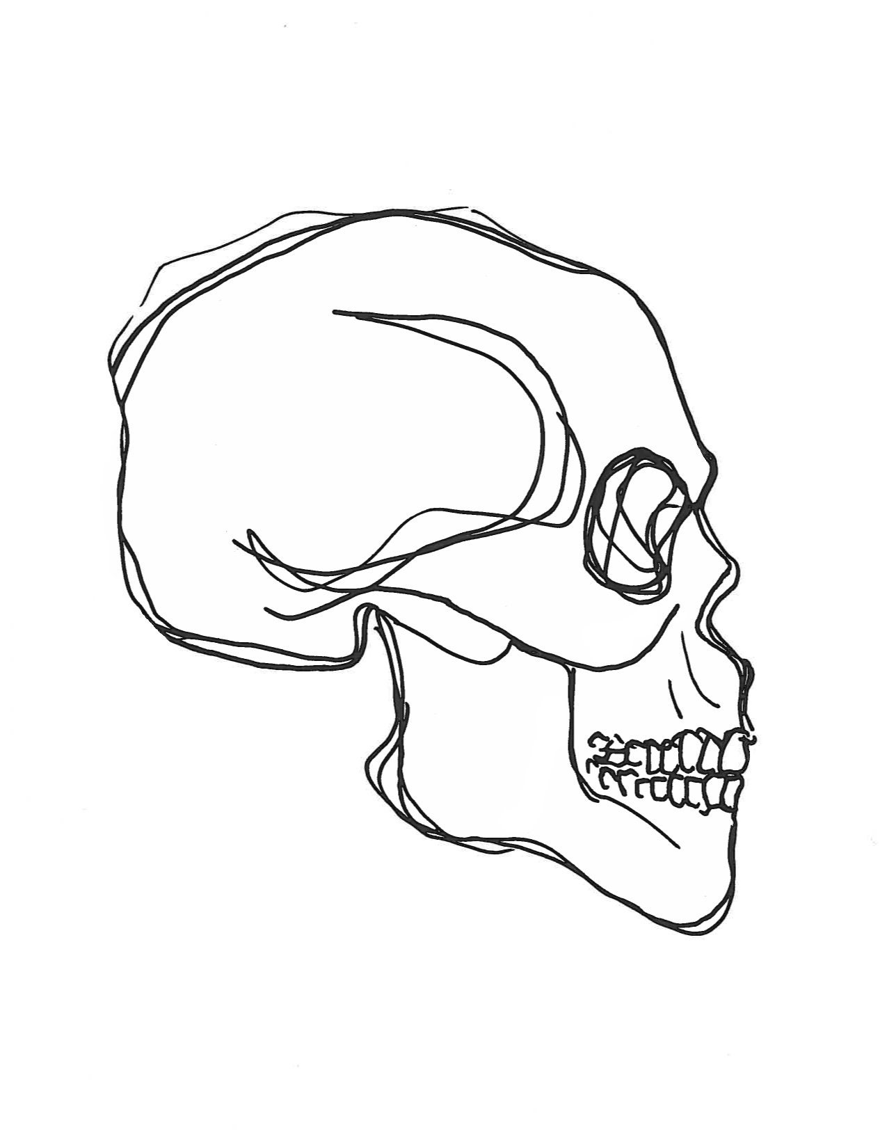 Heart, Lung, Skull Line Drawing Set of 3 Digital Download Prints ...