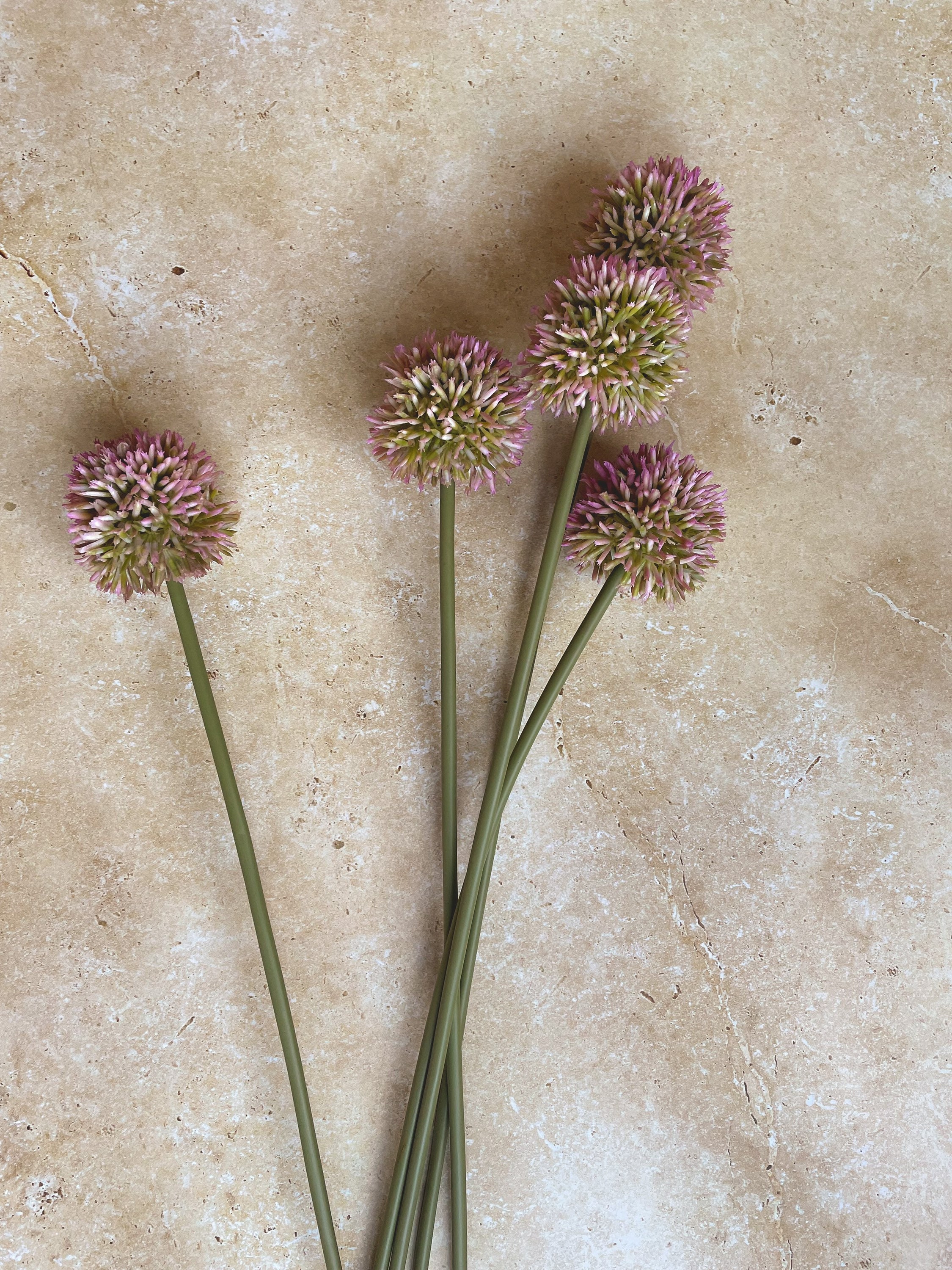 Bullet Allium