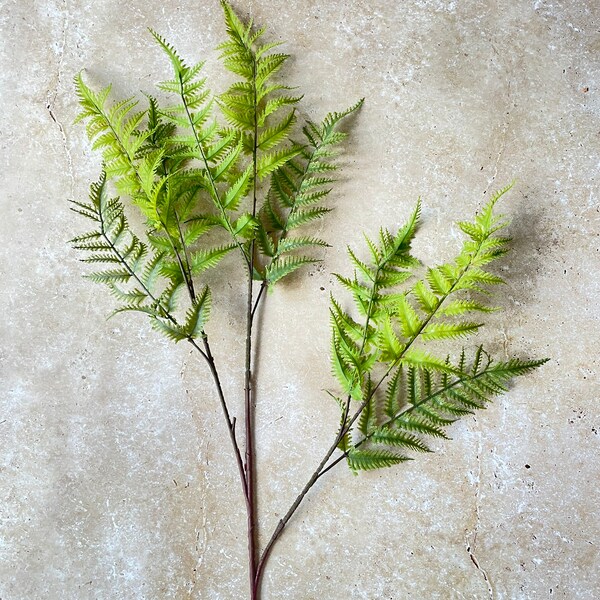 Fern - Etsy UK