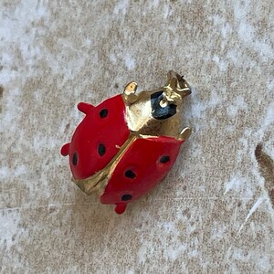 Tiny Ladybird Brooch - Etsy