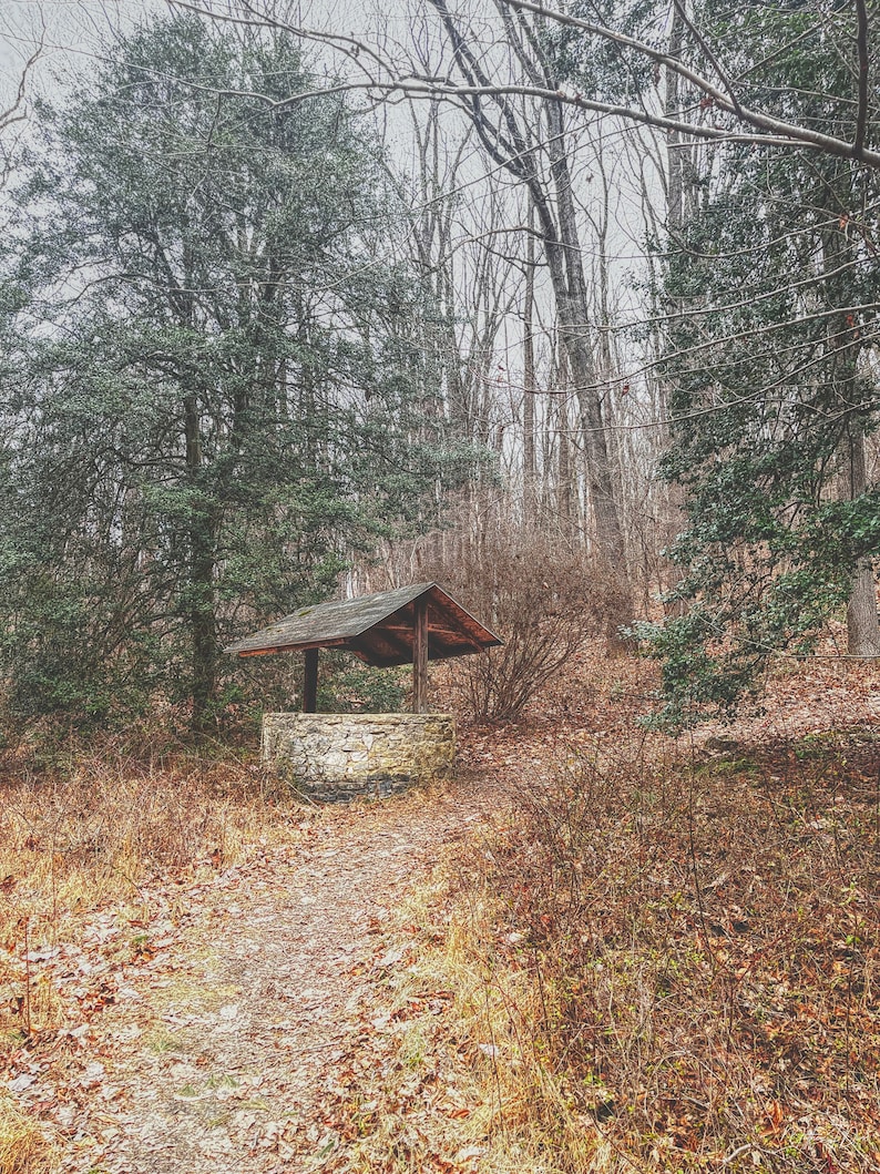 Art Print: Wishing Well Along a Path in the Woods, a Color Photograph ...