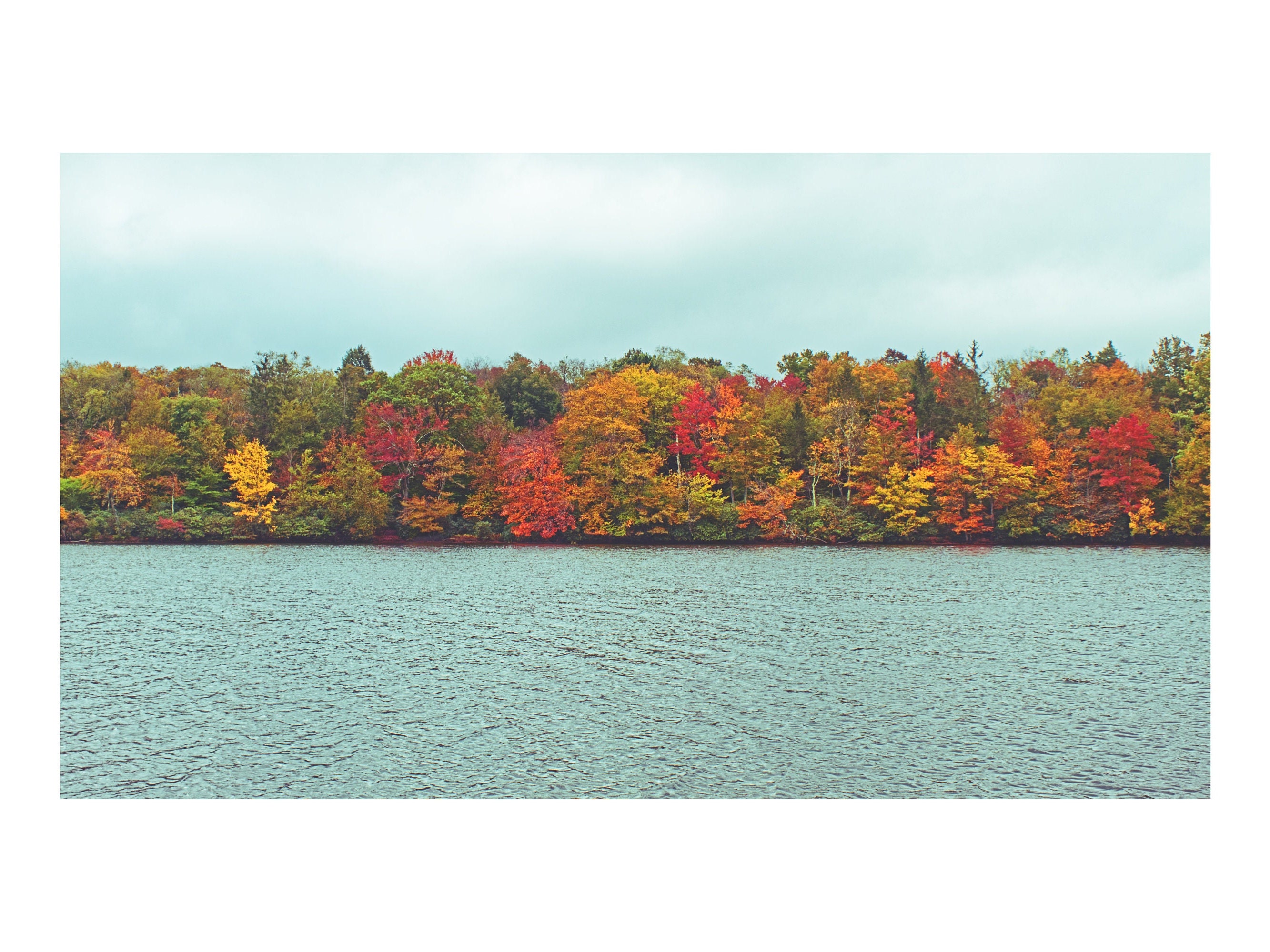 Art Print: Autumn Leaves by a Pocono Lake, a Color Landscape Photograph ...