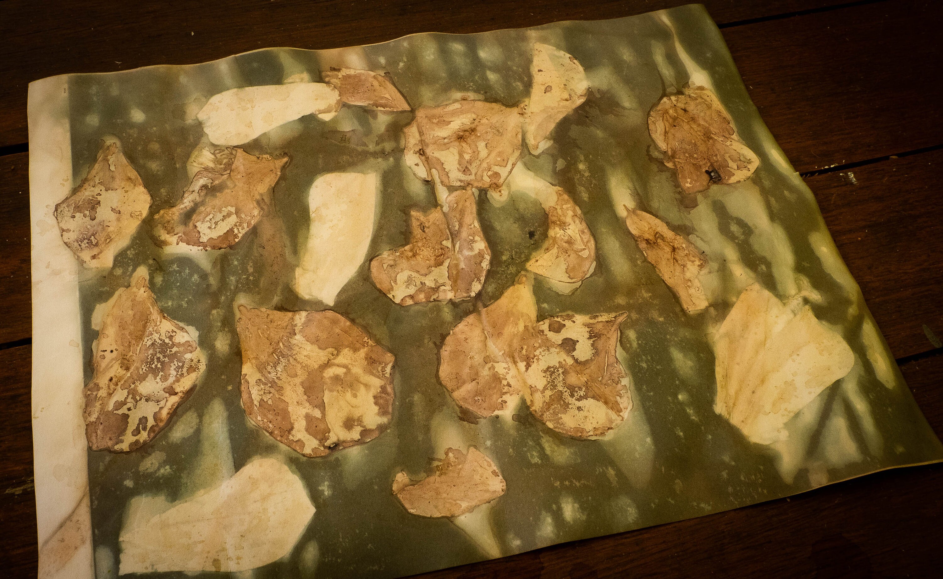 Eco Dyed Paper for Papercraft Scrapbooking Card Making | Etsy Australia