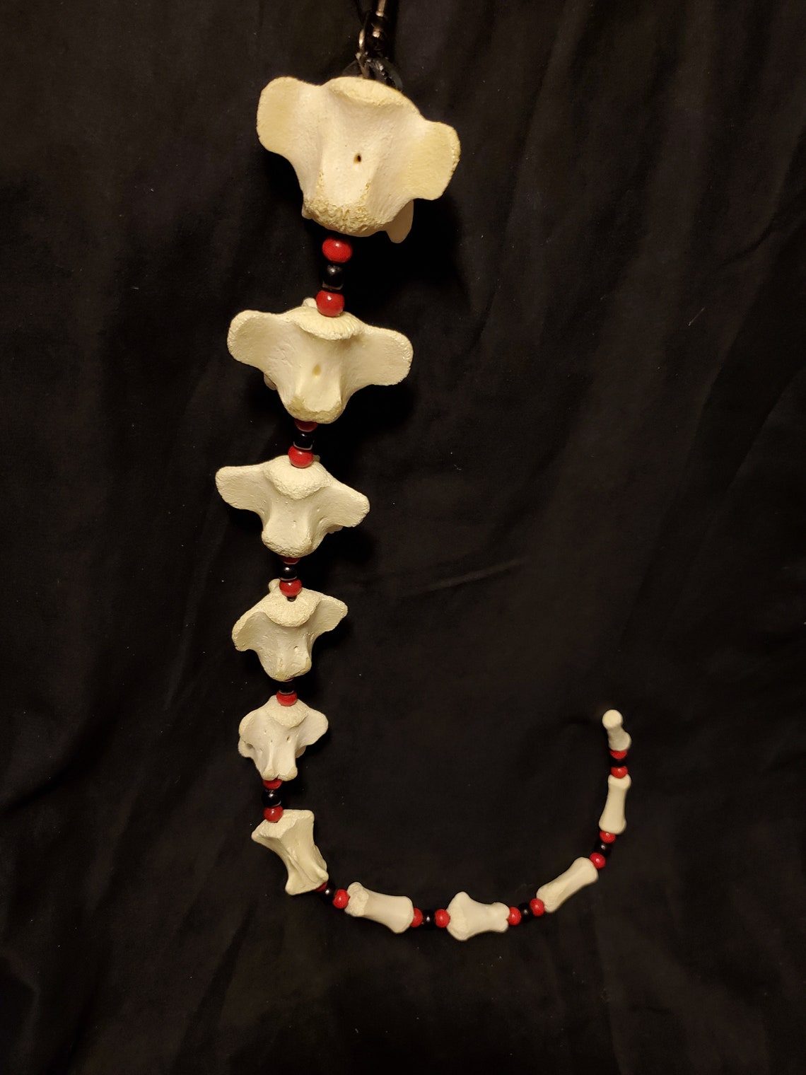 Articulated Bone Tail - Black and Pink - Oxtail - Bone Jewelry ...