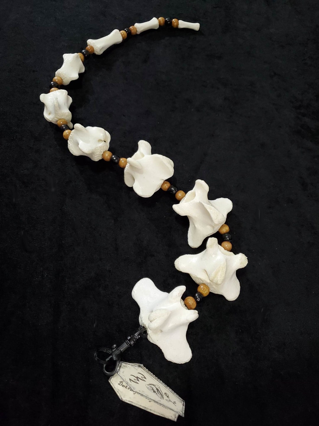 Articulated Bone Tail - Black and Brown - Oxtail - Bone Jewelry ...