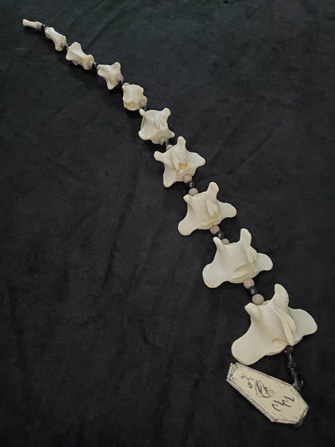 Articulated Bone Tails Black and Gary Bone Jewelry - Etsy