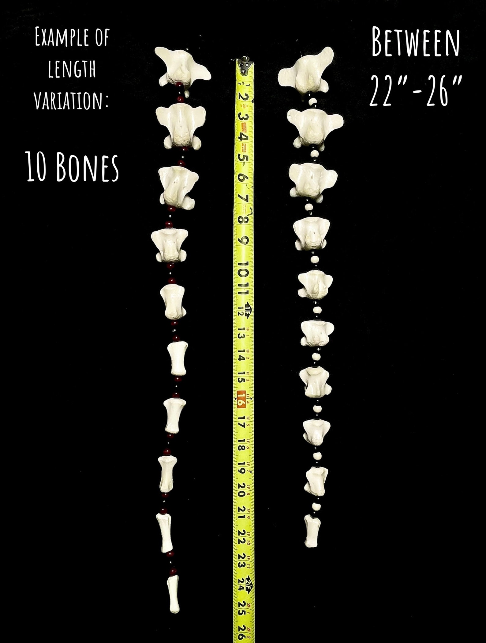 Articulated Bone Tail - Black and Pink - Oxtail - Bone Jewelry ...