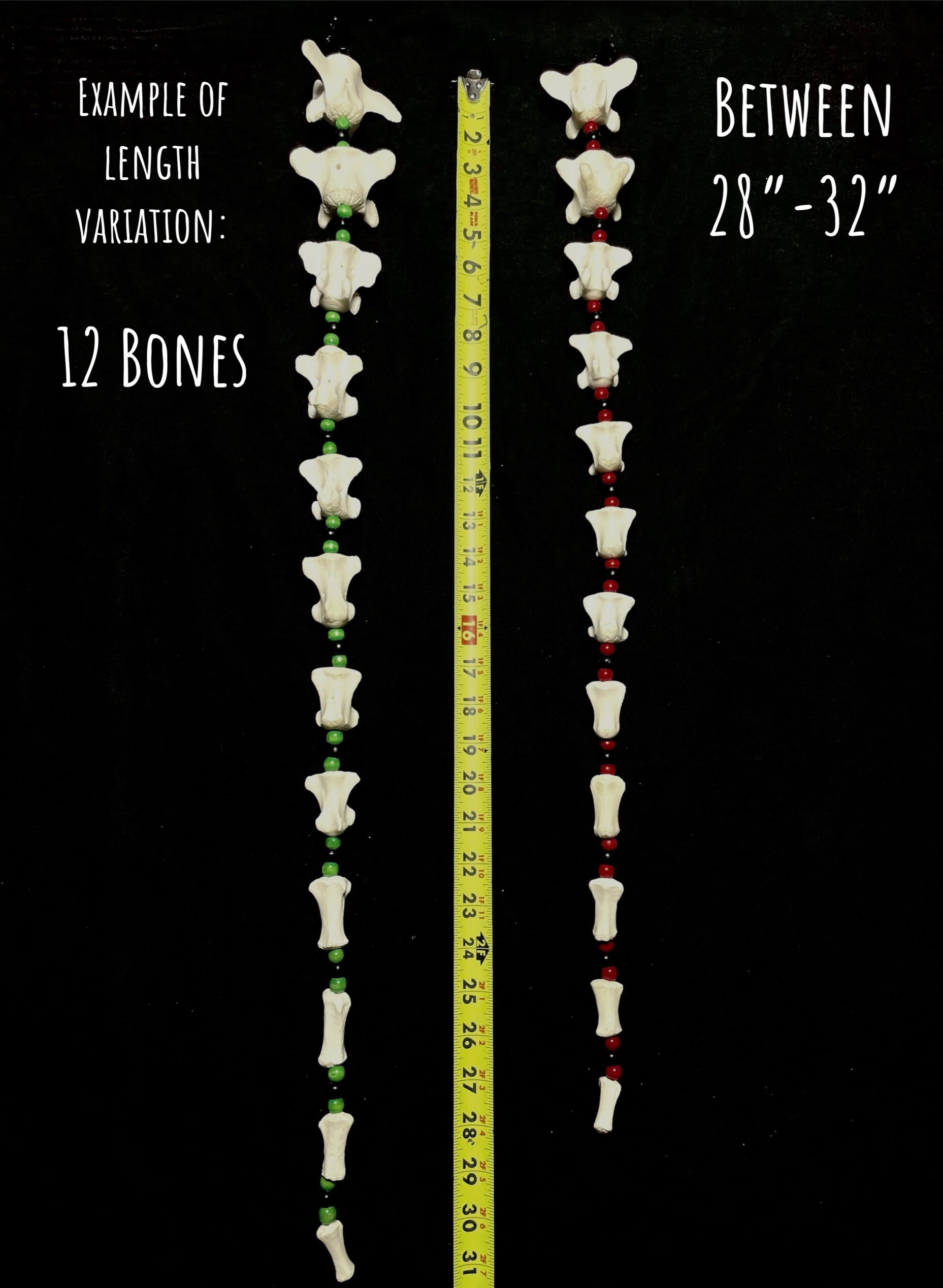 Articulated Bone Tail - Black and Pink - Oxtail - Bone Jewelry ...