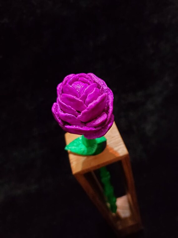 Outdoor & Gardening Ox Tail Bone Flower Purple Bone Rose Blossom with ...