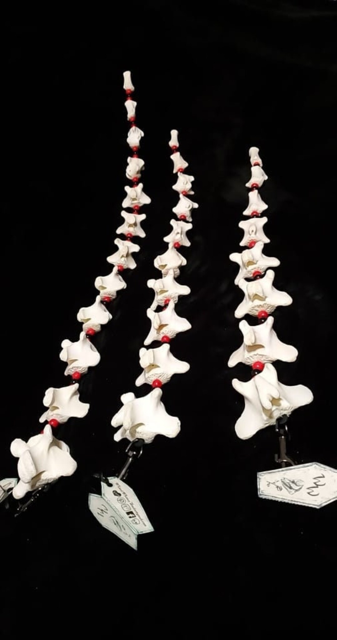 Articulated Bone Tail - Black and Red - Oxtail - Bone Jewelry - Macabre ...