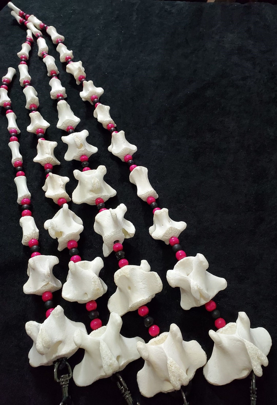 Articulated Bone Tail - Black and Pink - Oxtail - Bone Jewelry ...