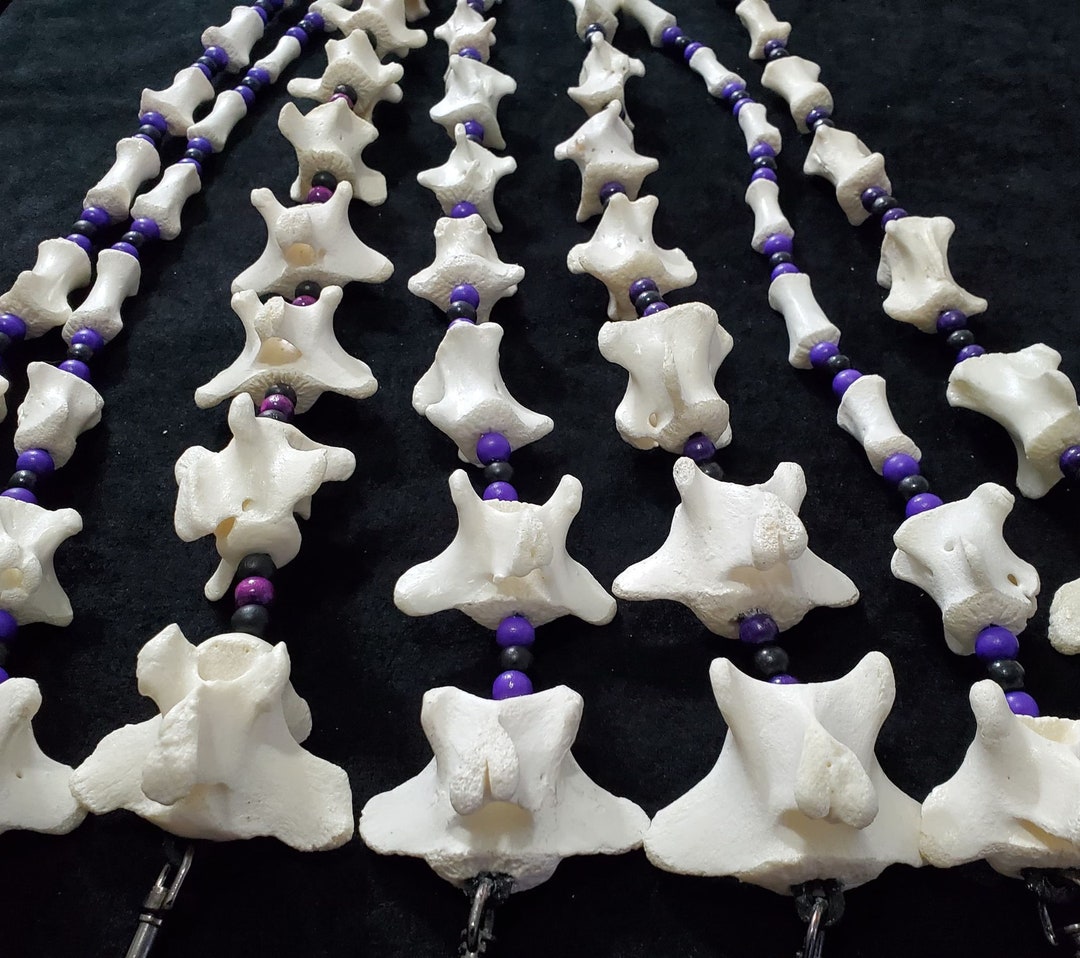 Articulated Bone Tails Black and Purple Bone Jewelry - Etsy