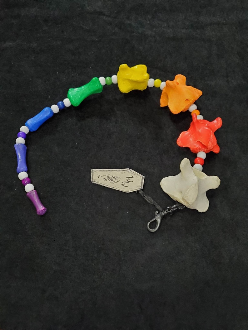 Pride Articulated Bone Tail ~20" - Rainbow - Oxtail - Bone Jewelry ...