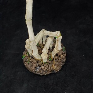 Grave Gestures - Skeletal Skeleton Hand Gestures - Custom Gothic Gifts ...