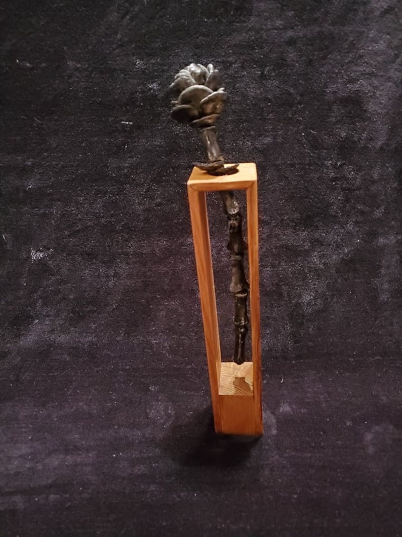 Black Bone Rose Blossom With Black Stem Ox Tail Dark - Etsy