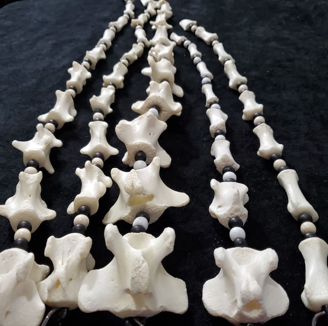 Articulated Bone Tail - Black and White - Oxtail - Bone Jewelry ...