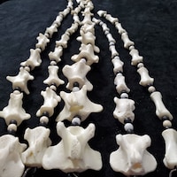 Dragon Bone Tails - Etsy