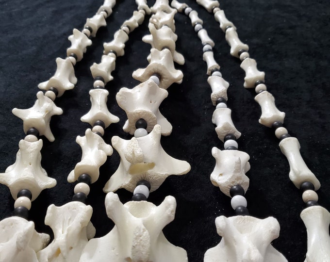 Dragon Bone Tails - Etsy