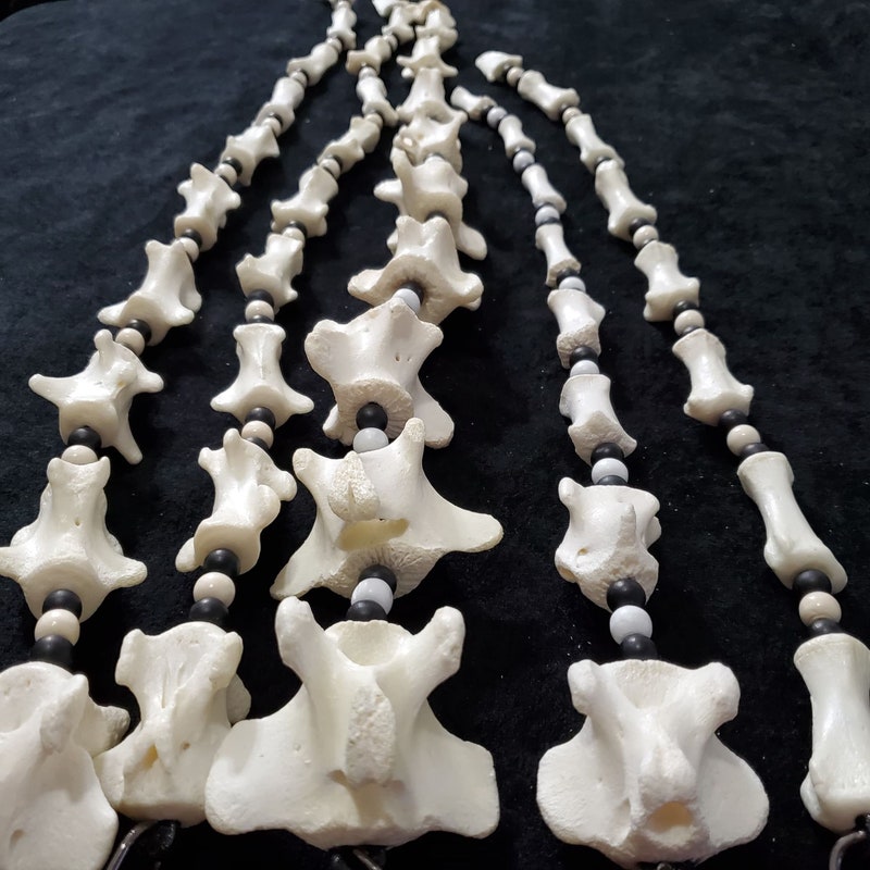 Bone Tail Costume - Etsy