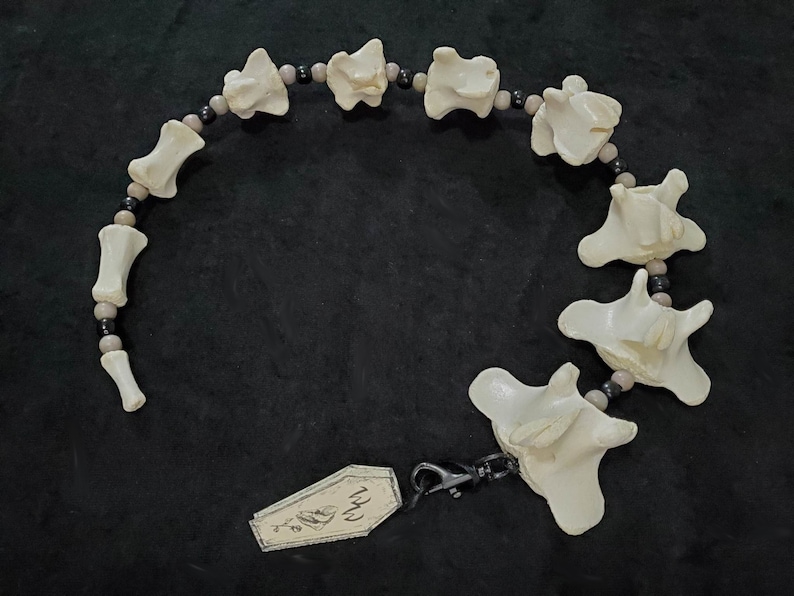 Articulated Bone Tails Black and Gary Bone Jewelry - Etsy