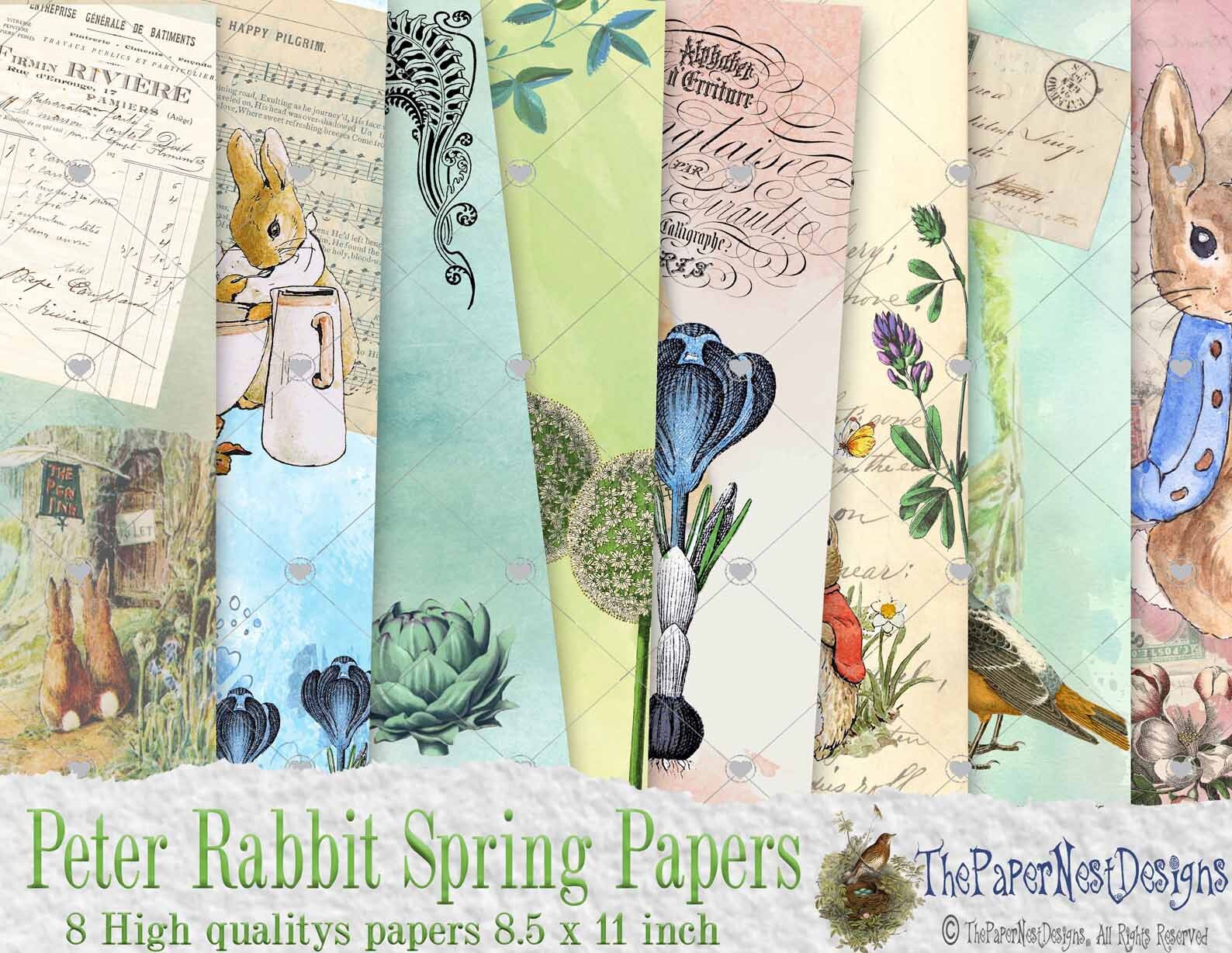 Peter Rabbit Papers Spring Papers Decorative Papers Beatrix - Etsy