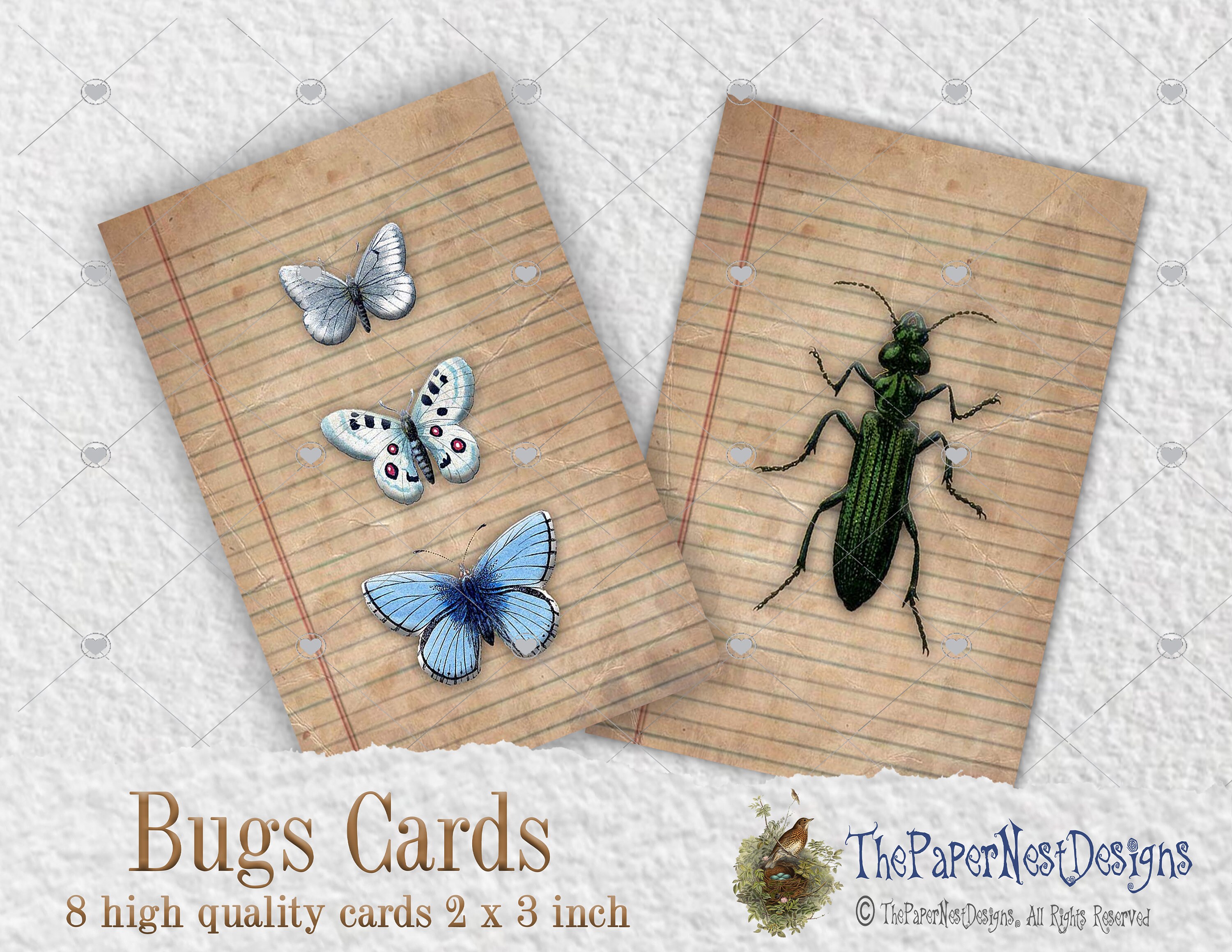 8 Bug Cards for Paper Craft, Printable Digital Cards, Instant Digital ...