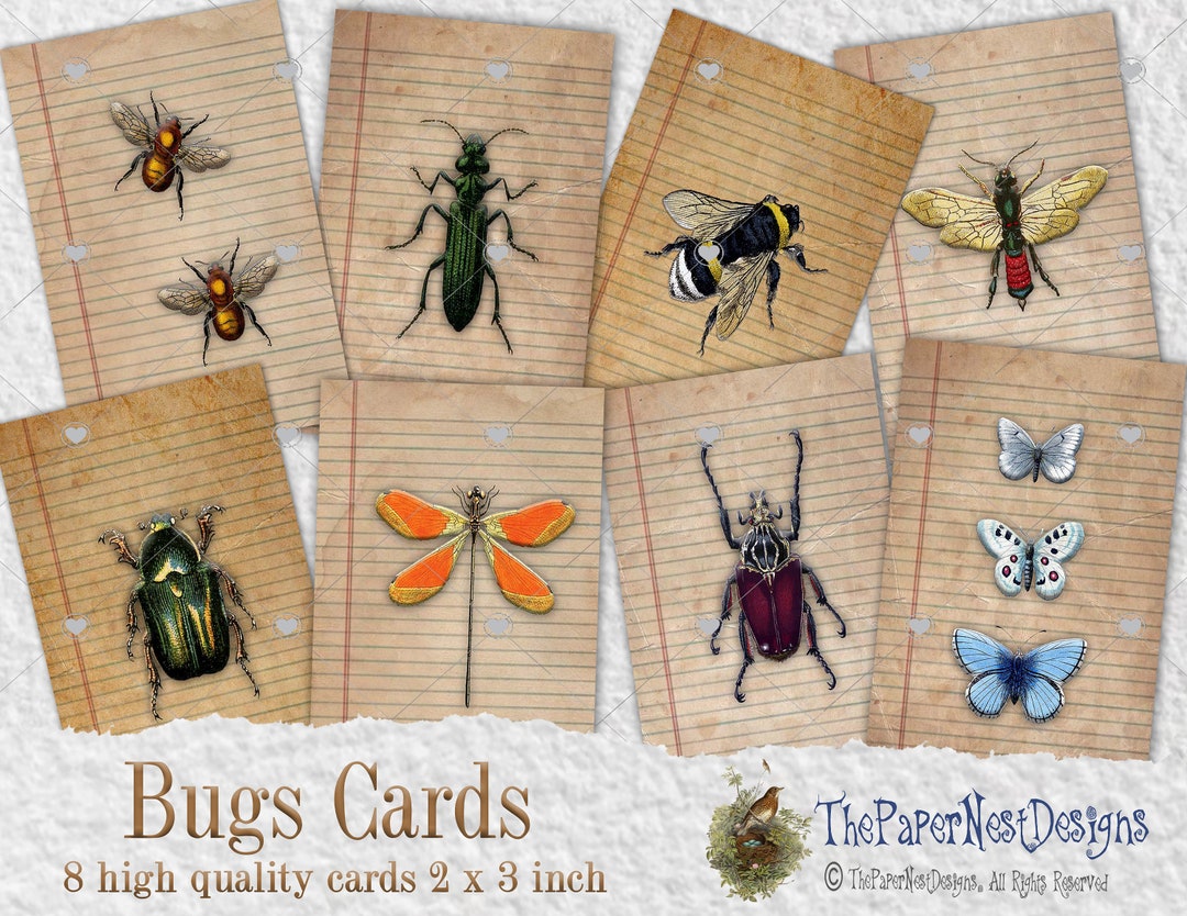 8 Bug Cards for Paper Craft, Printable Digital Cards, Instant Digital ...