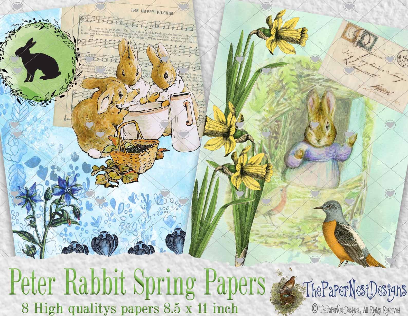 Peter Rabbit Papers Spring Papers Decorative Papers Beatrix | Etsy