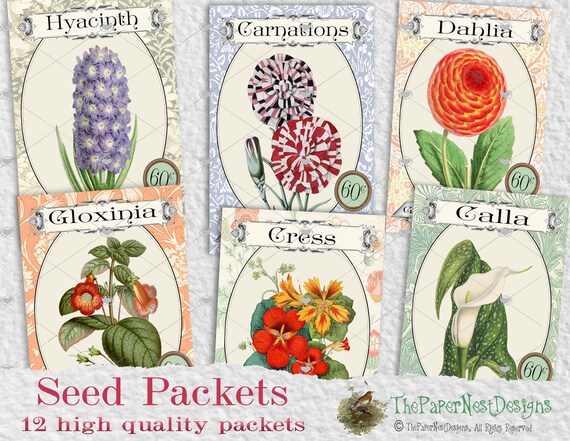 Vintage Flower Seed Packet Art Vintage Flower Flowers Seeds Seed