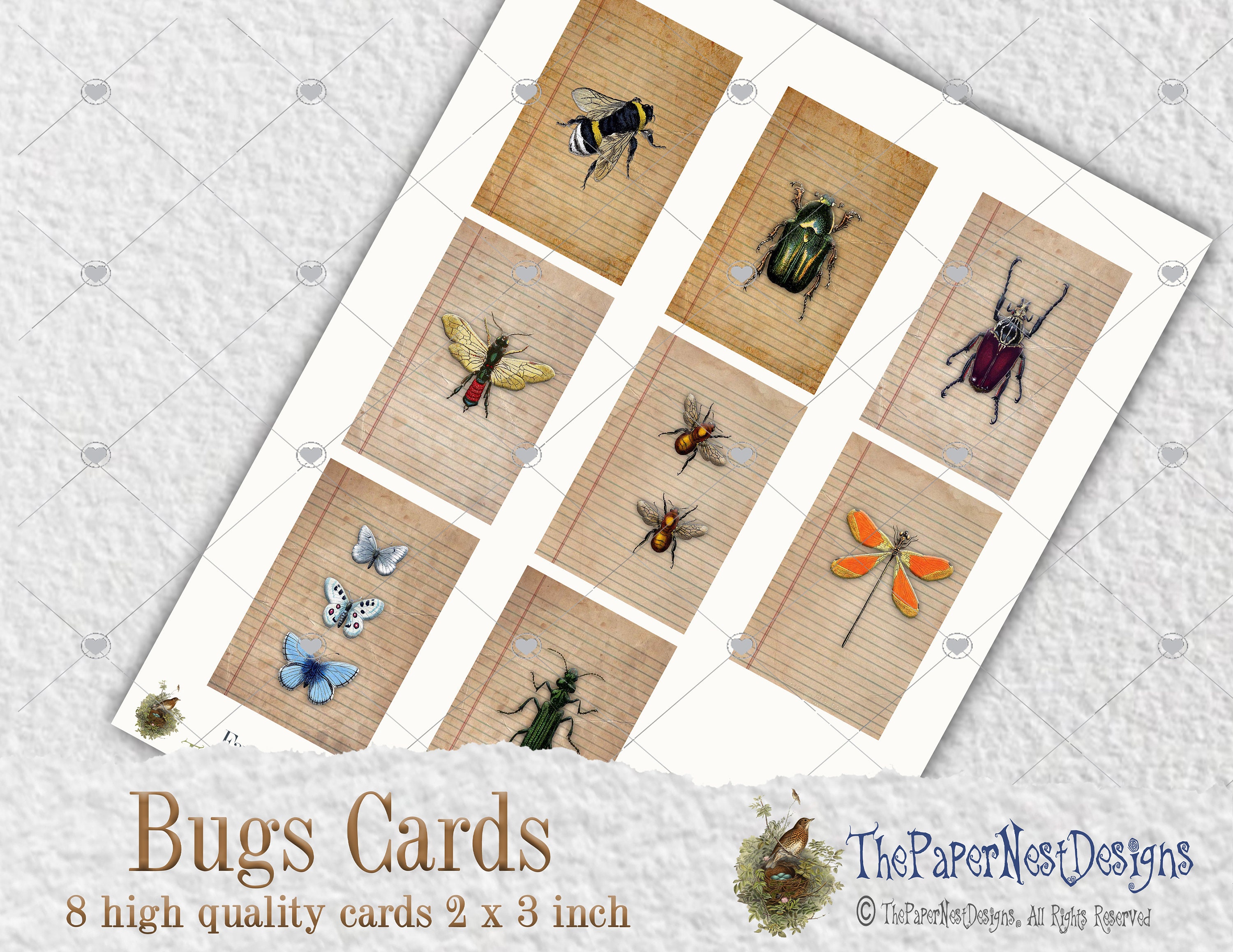 8 Bug Cards for Paper Craft, Printable Digital Cards, Instant Digital ...